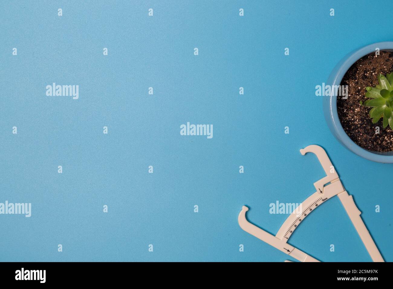 Close up of a tame measurement and body fat caliper Stock Photo - Alamy