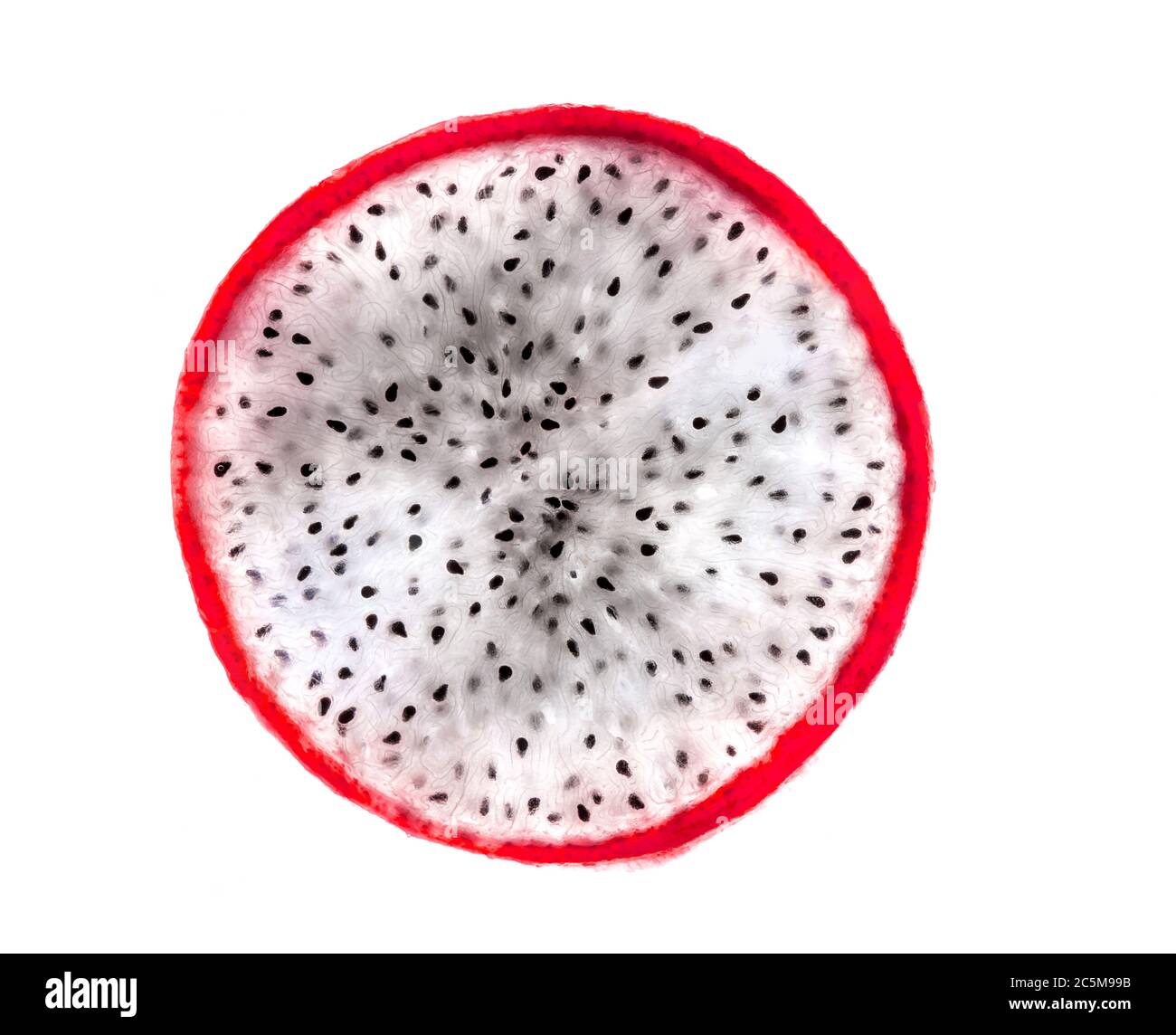 Plantation detail Cut Out Stock Images & Pictures - Alamy