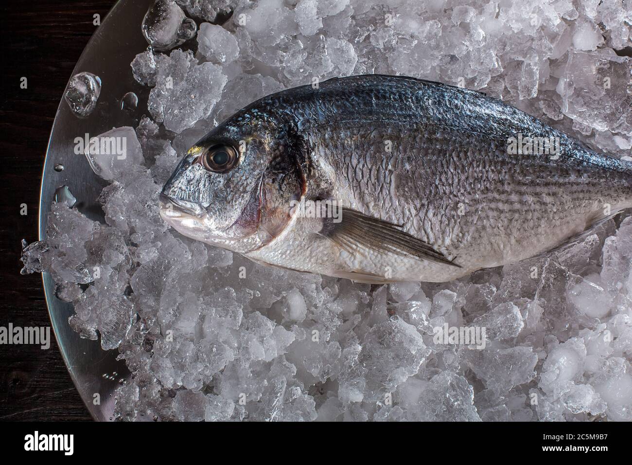 Seafood cooking preparation. Top view of dorado on ice Stock Photo - Alamy