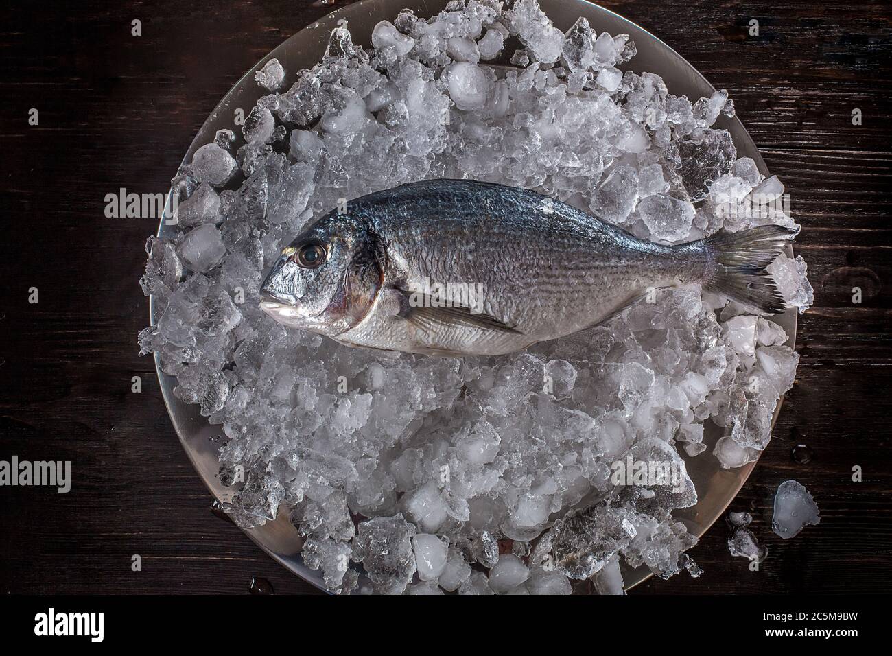 Seafood cooking preparation. Top view of dorado on ice Stock Photo - Alamy