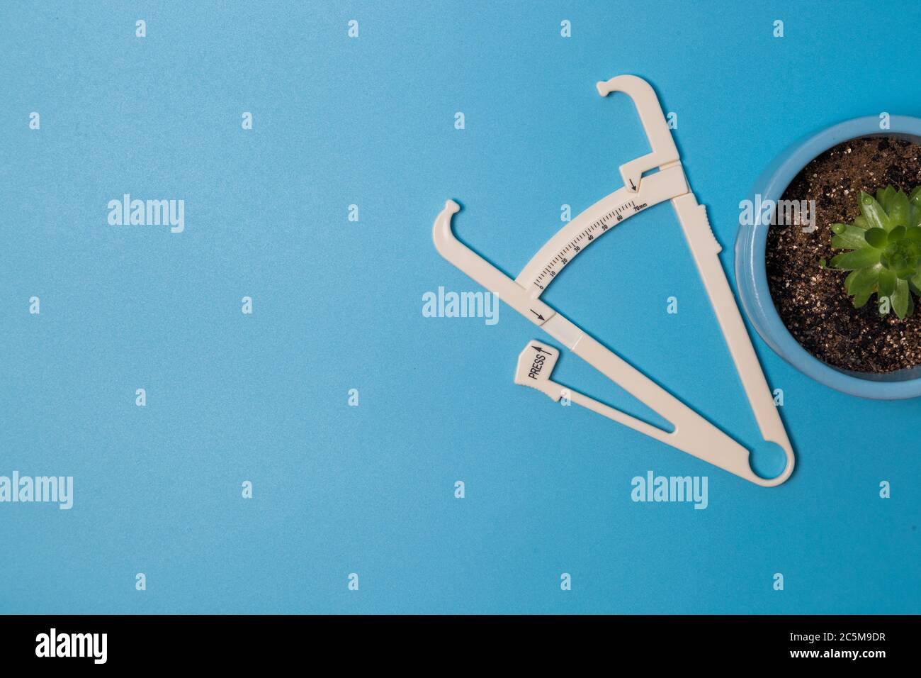 Close up of a tame measurement and body fat caliper Stock Photo - Alamy