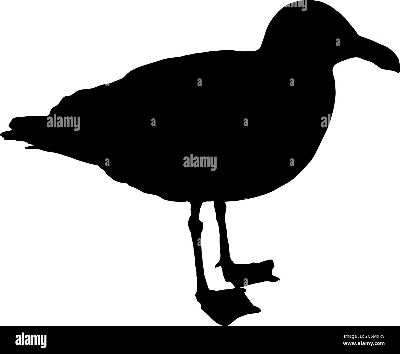 Standing bird silhouette Cut Out Stock Images & Pictures - Alamy