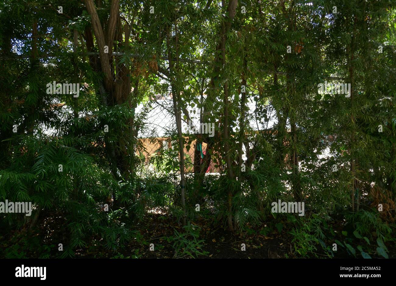 Los Angeles, California, USA 3rd July 2020 A general view of atmosphere ...