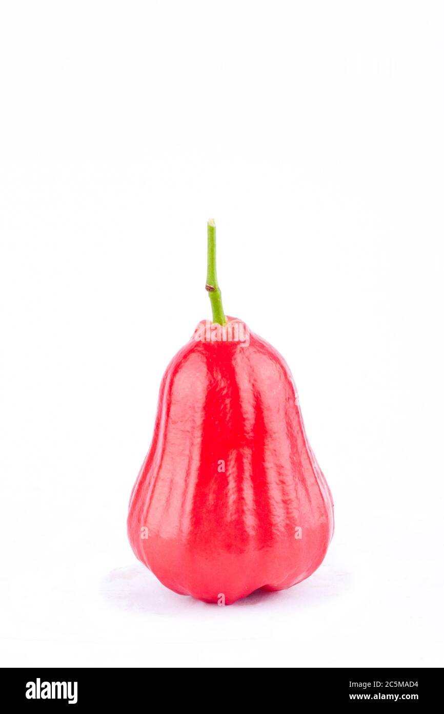 half rose apple and red rose apples on white background healthy rose ...