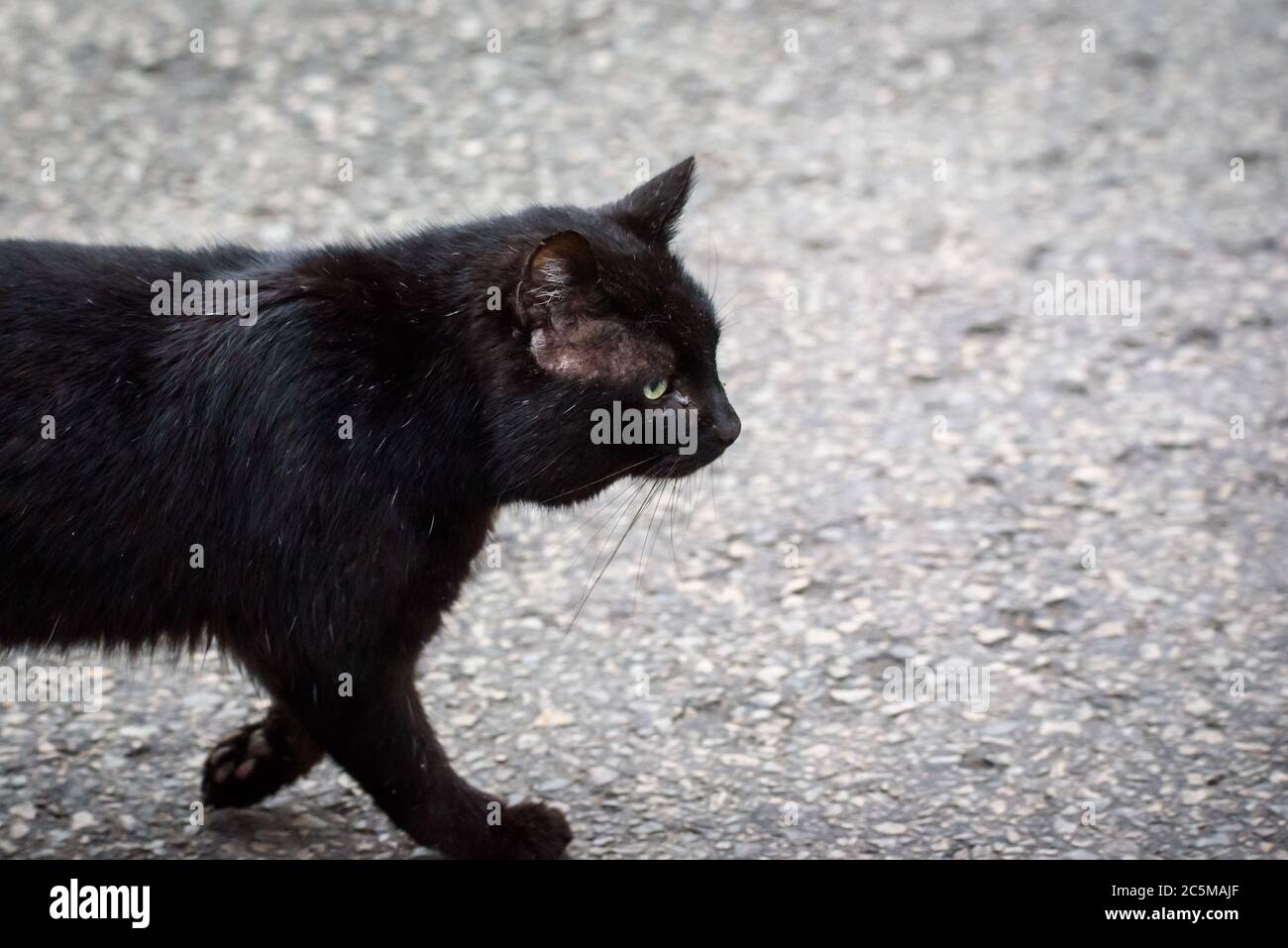 Walking stree hi-res stock photography and images - Alamy
