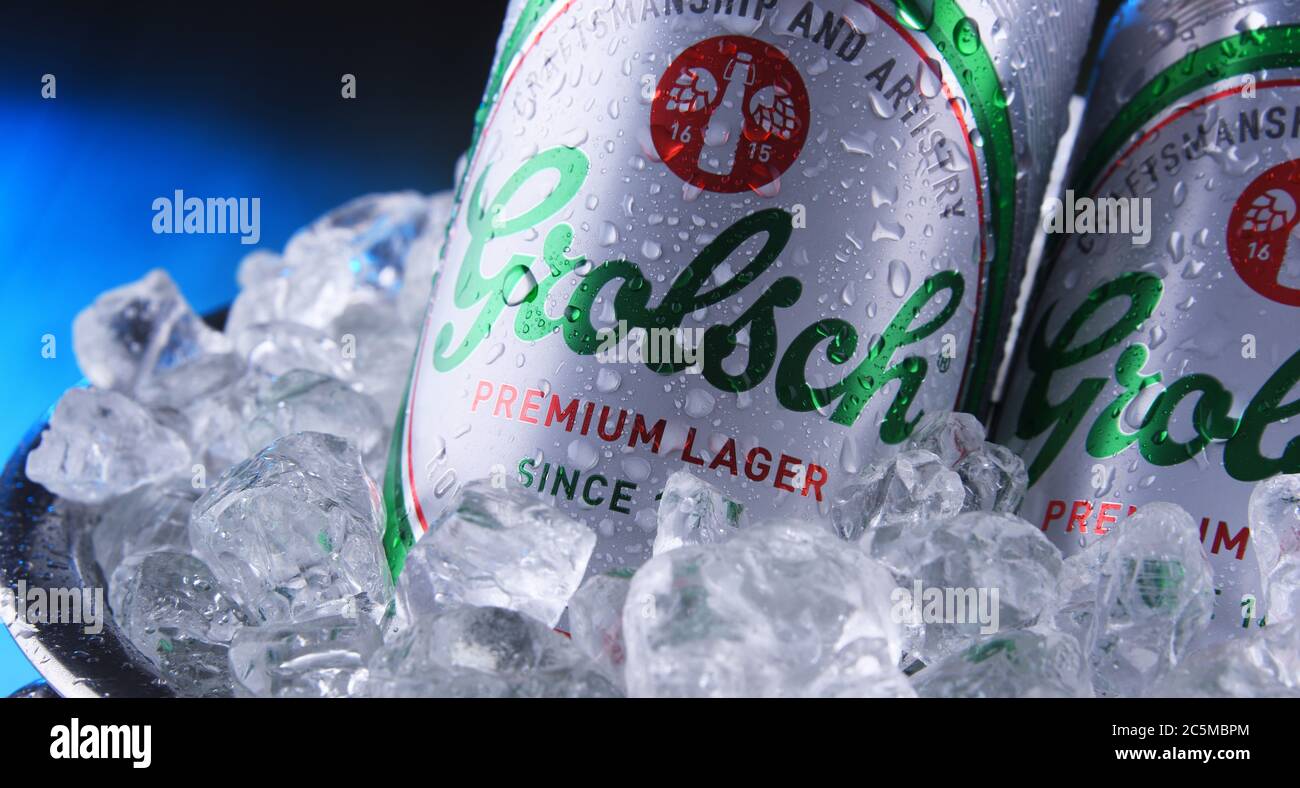 Grolsch premium lager beer can hi-res stock photography and images - Alamy