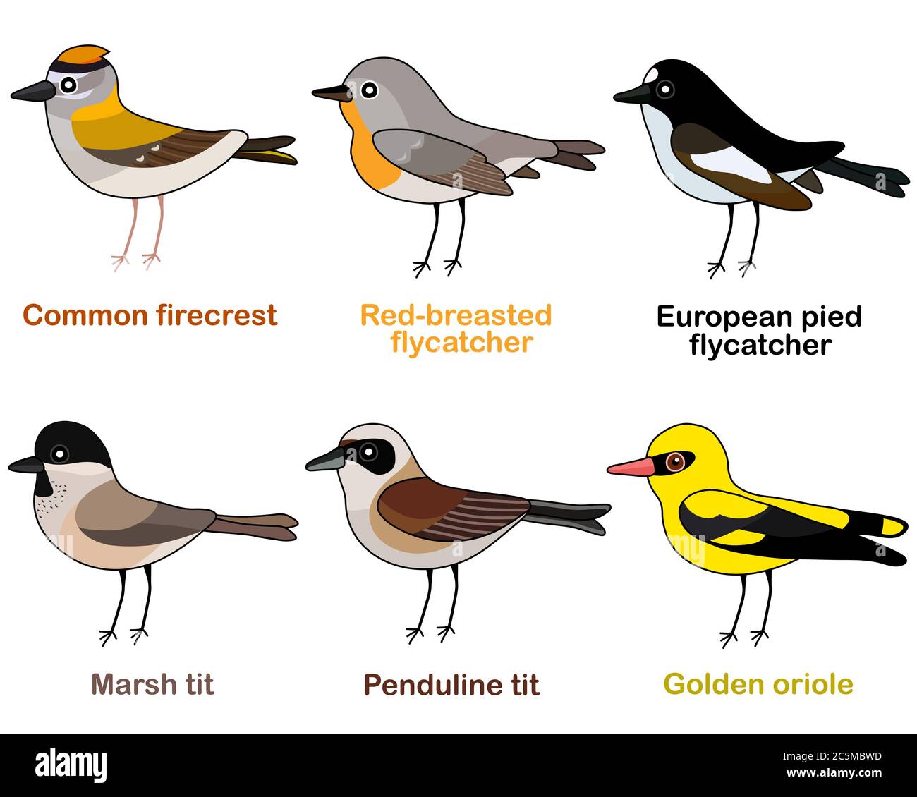Pretty Bird Names