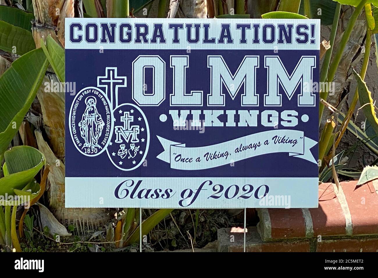 Olmm hi-res stock photography and images - Alamy