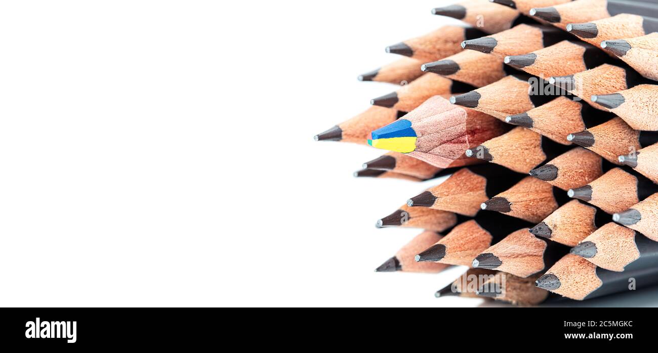 A bunch of graphite black pencils for drawing and single large ...