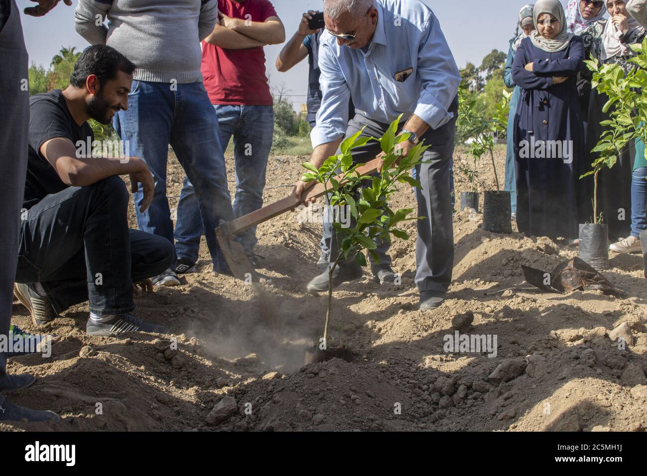 Group of people planting a tree hi-res stock photography and images - Alamy