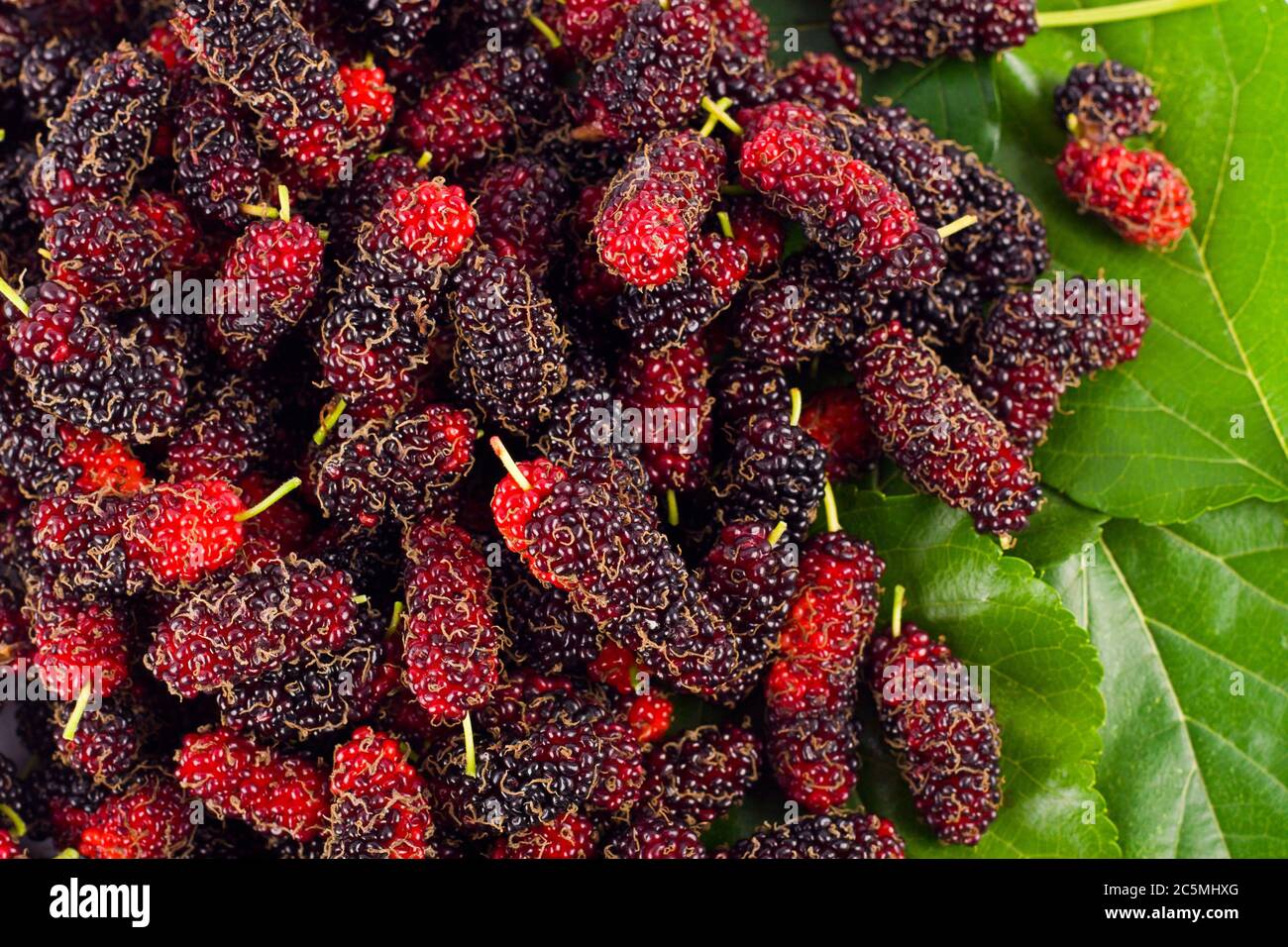 ripe mulberry fruit and green mulberry leaf on white background healthy ...