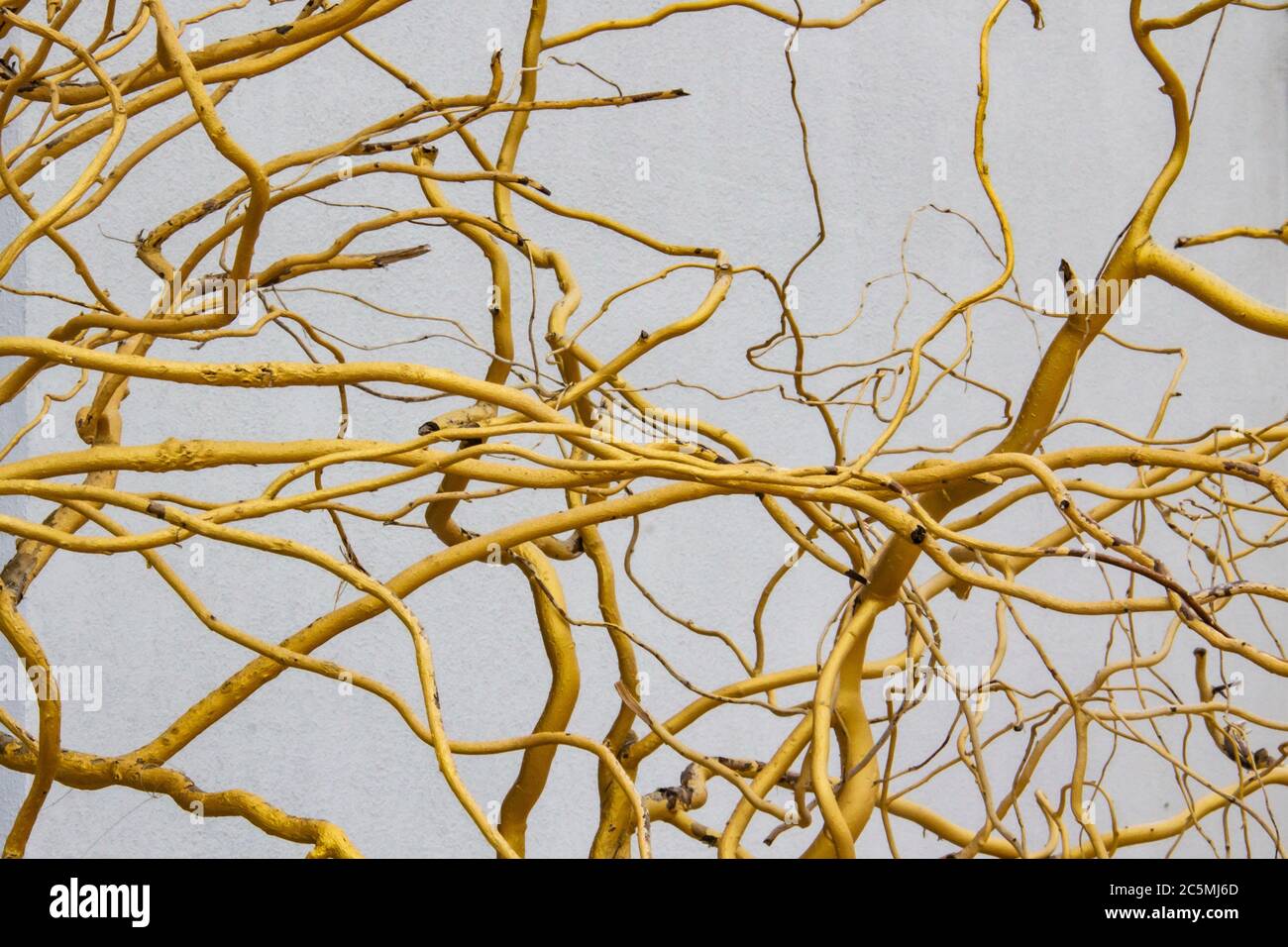 Golden branches of a tree against background. Conception with branches ...