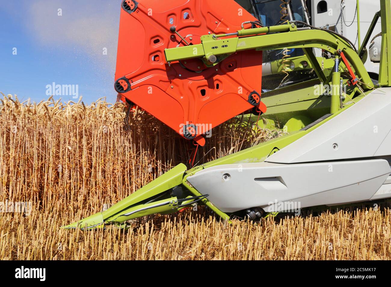 Agricultural cereal harvest, Germany Stock Photo - Alamy