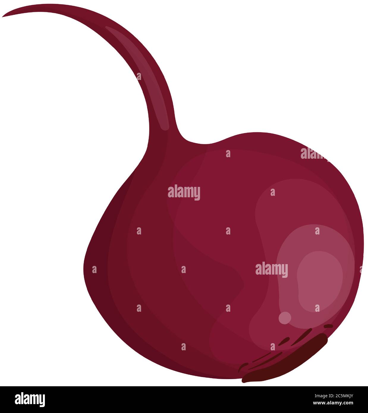 Red beet. Vector illustration Stock Vector Image & Art - Alamy