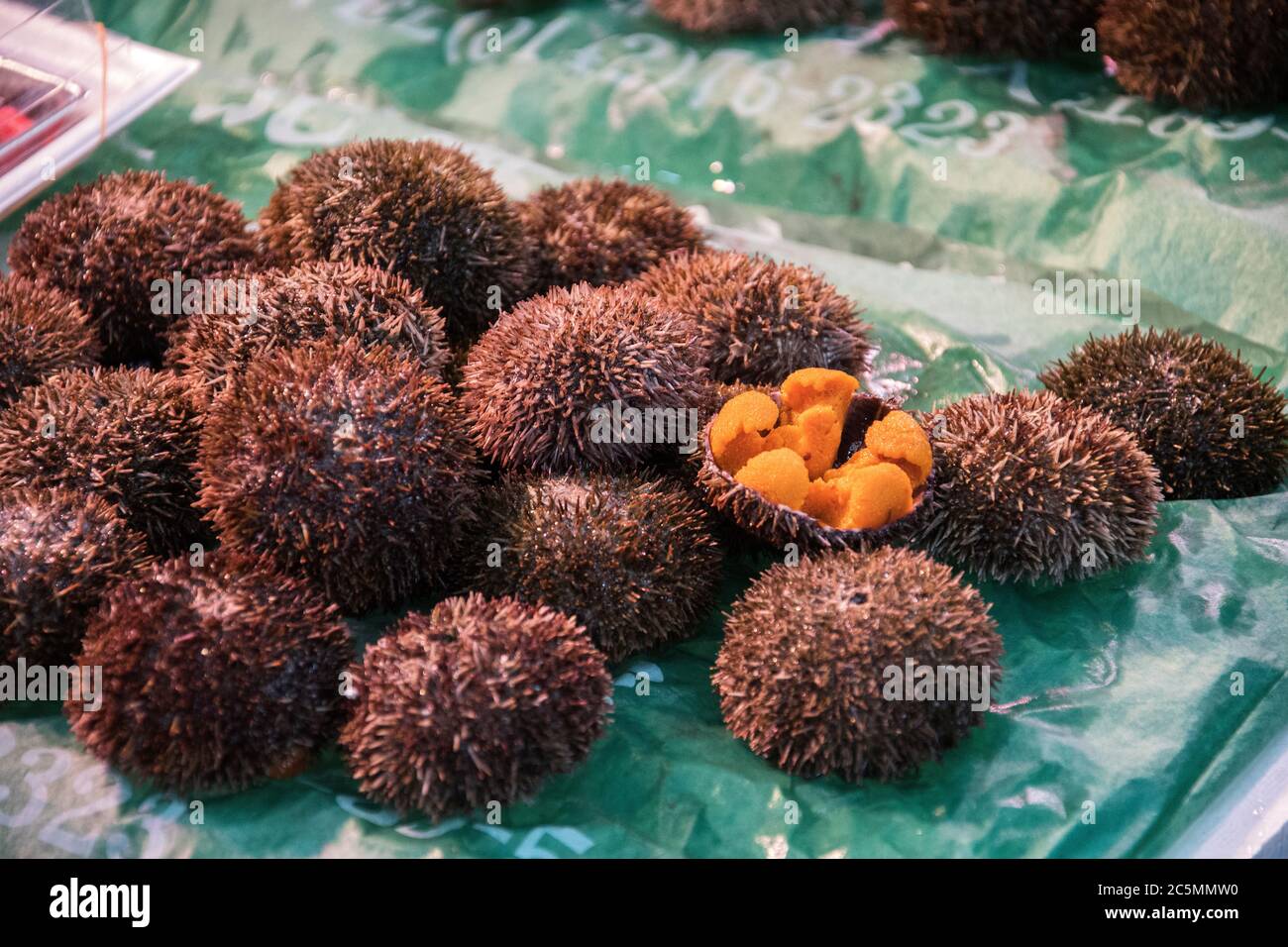 Uni fresh sea urchin fish hi-res stock photography and images - Alamy