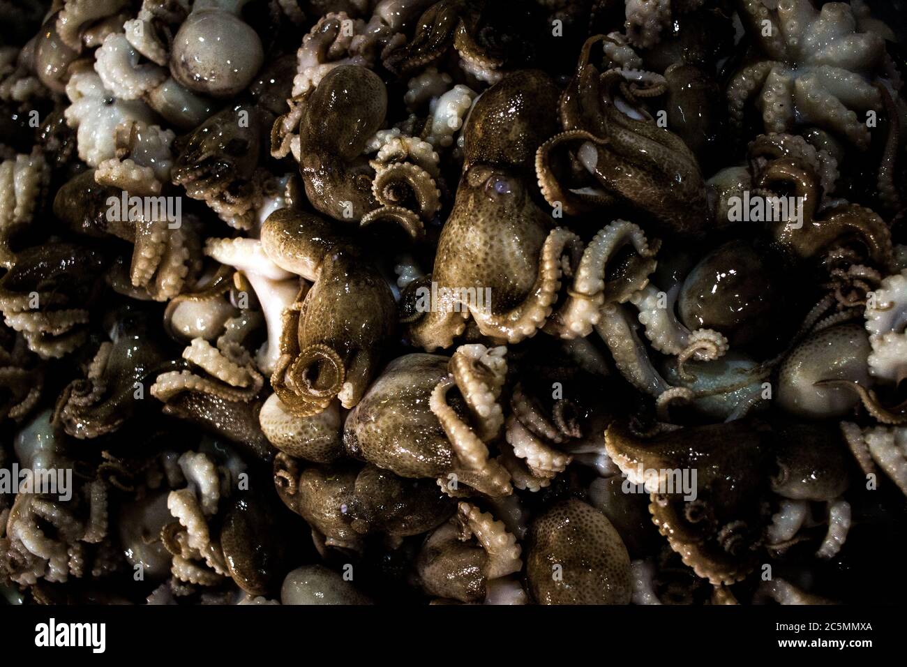 Poisson mange du poisson hi-res stock photography and images - Alamy