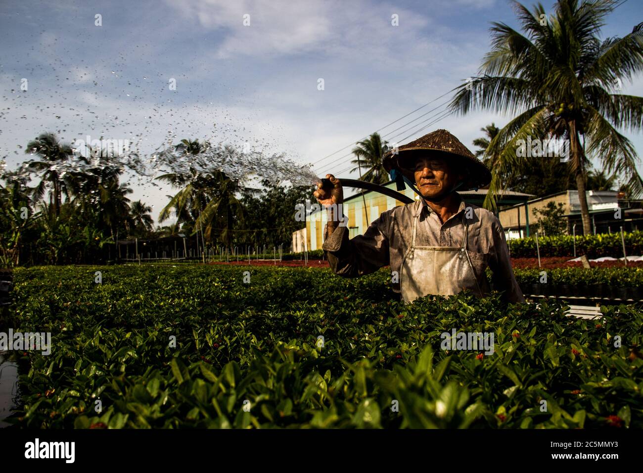 VIETNAM - The horticultural village of Sa Dec. Located in southern ...