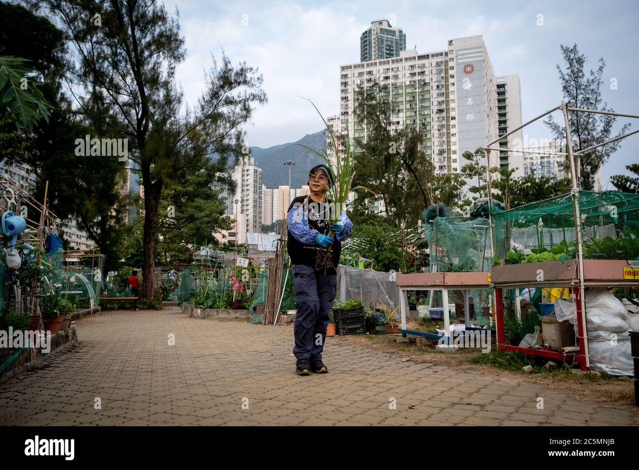 Hong kong urban farming hi-res stock photography and images - Alamy
