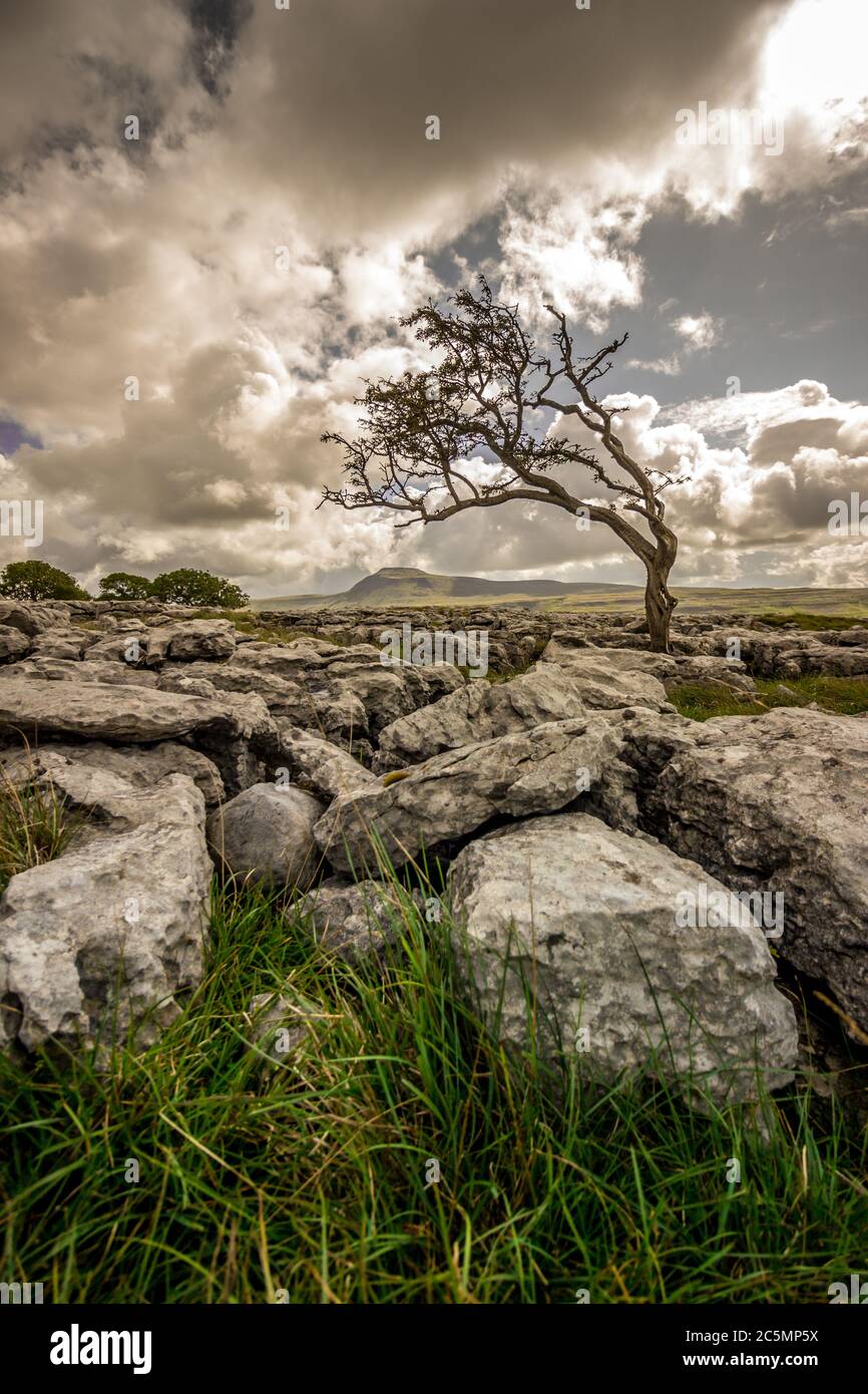 Pavement erosion hi-res stock photography and images - Alamy