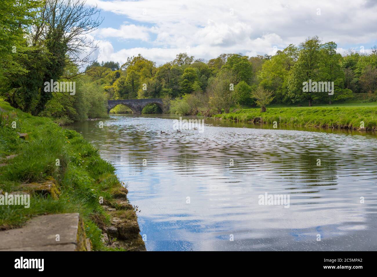 Summer day on the river ribble, Clitheroe. Gentle flowing water and ...