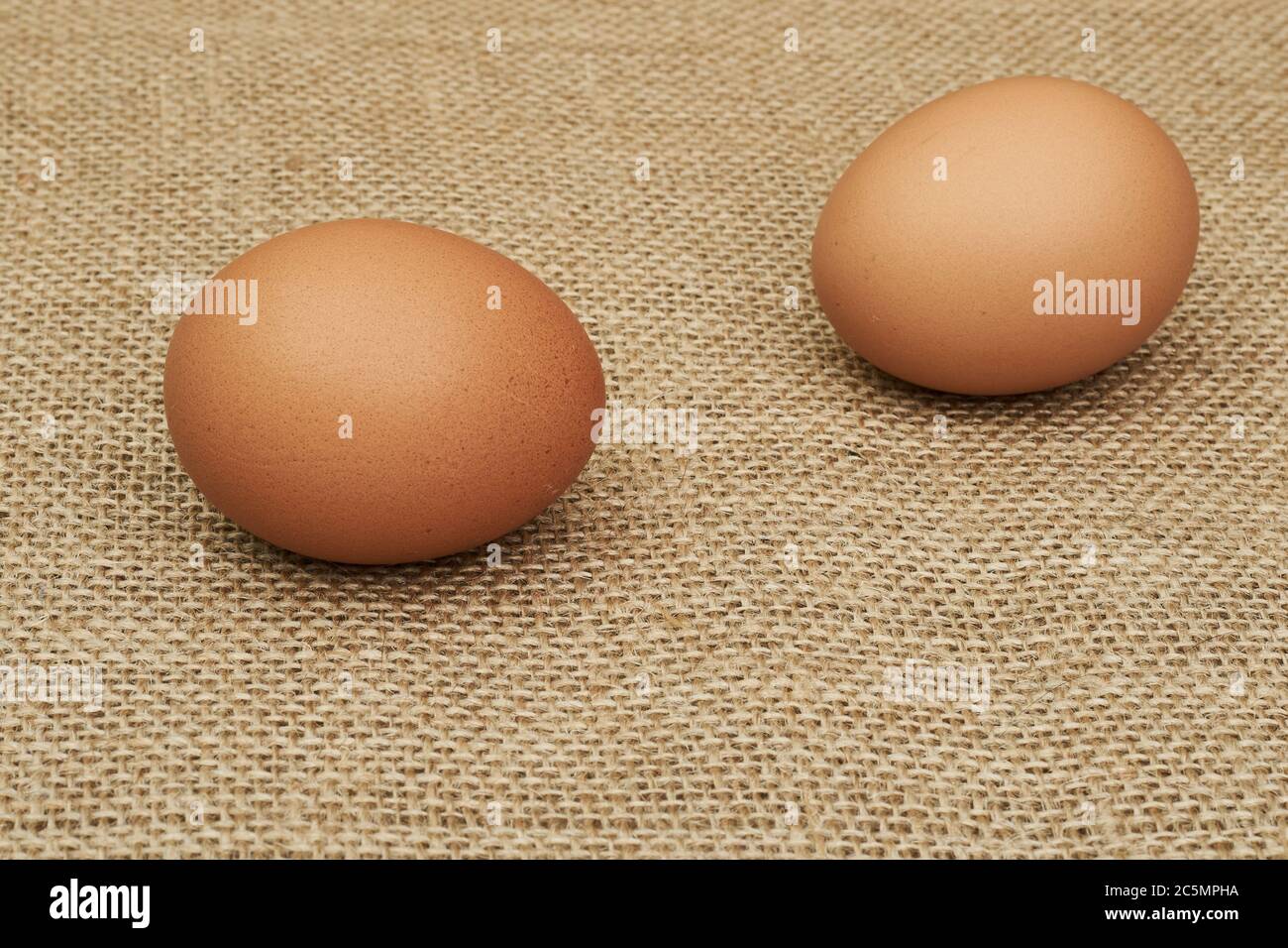 Chicken eggs whole and parts. Half an egg, egg yolk, shell Stock Photo ...