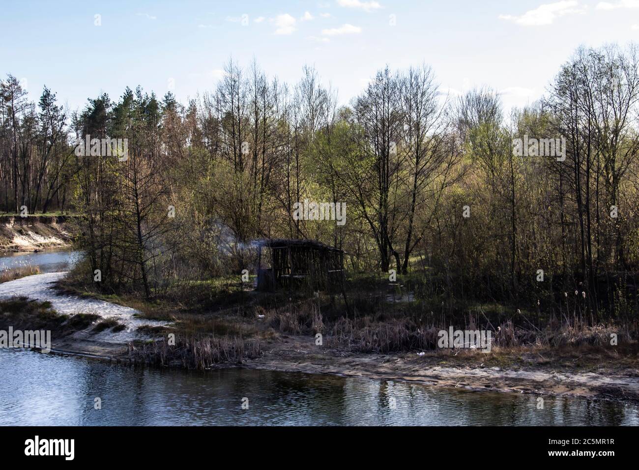 Ukranian landscape in the forest. Pine forest with a river name Psel in ...