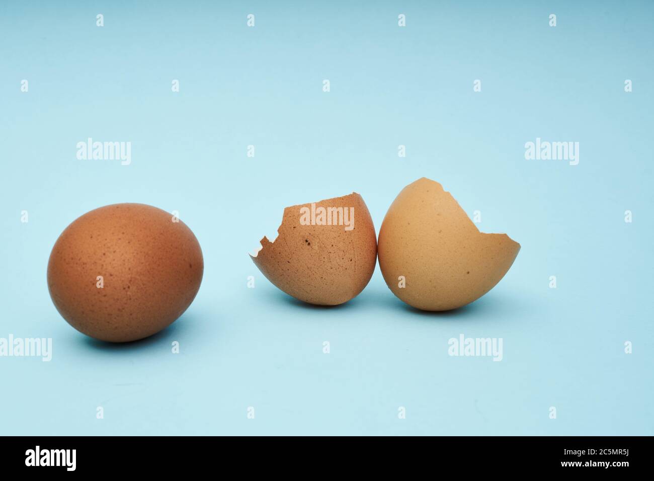 Chicken eggs whole and parts. Half an egg, egg yolk, shell Stock Photo ...