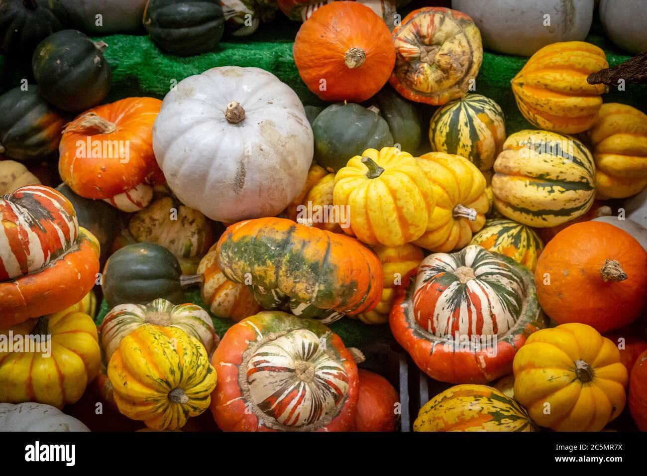 A variety of squash for sale on a market stall Stock Photo - Alamy