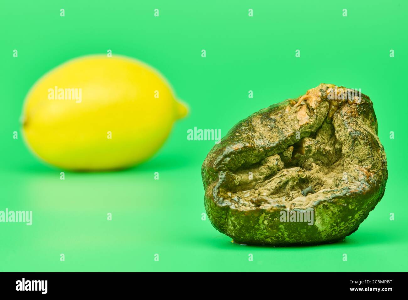 Rotten lemon and fresh lemon compare, green background. Mold putrefied ...