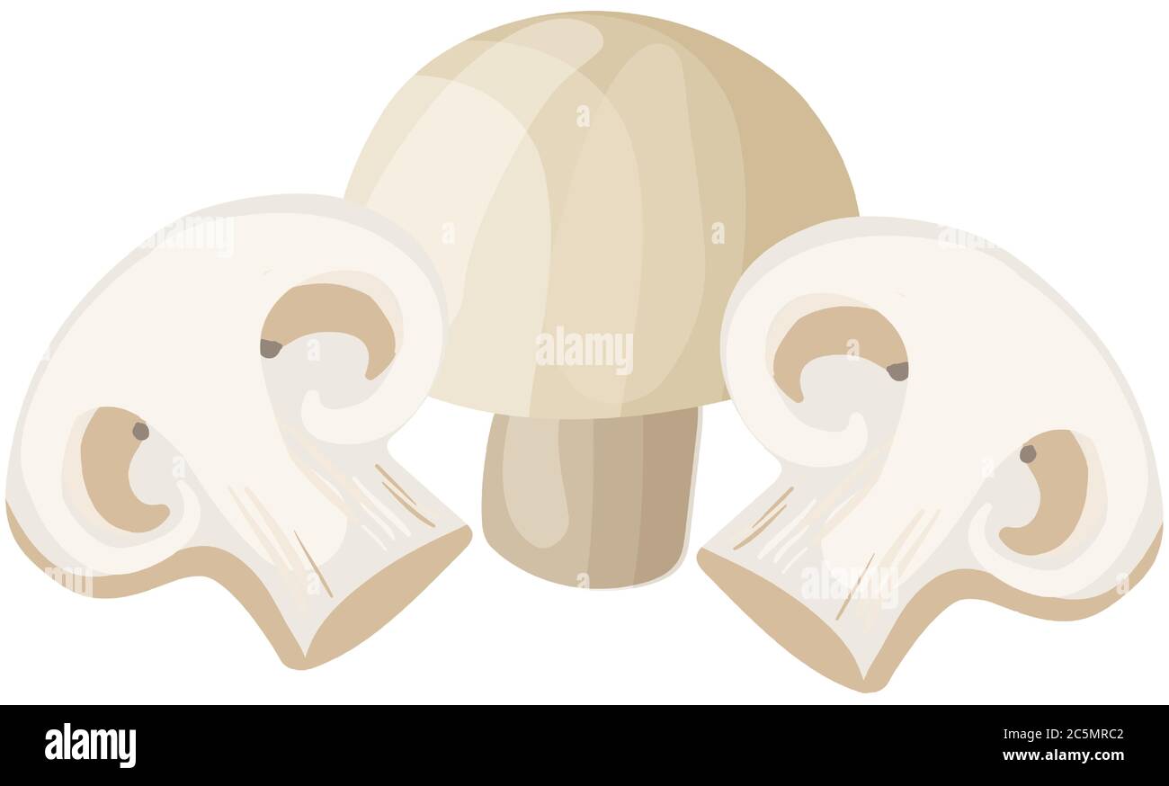 Vector icon illustration of mushroom champignon. Fresh cartoon organic ...