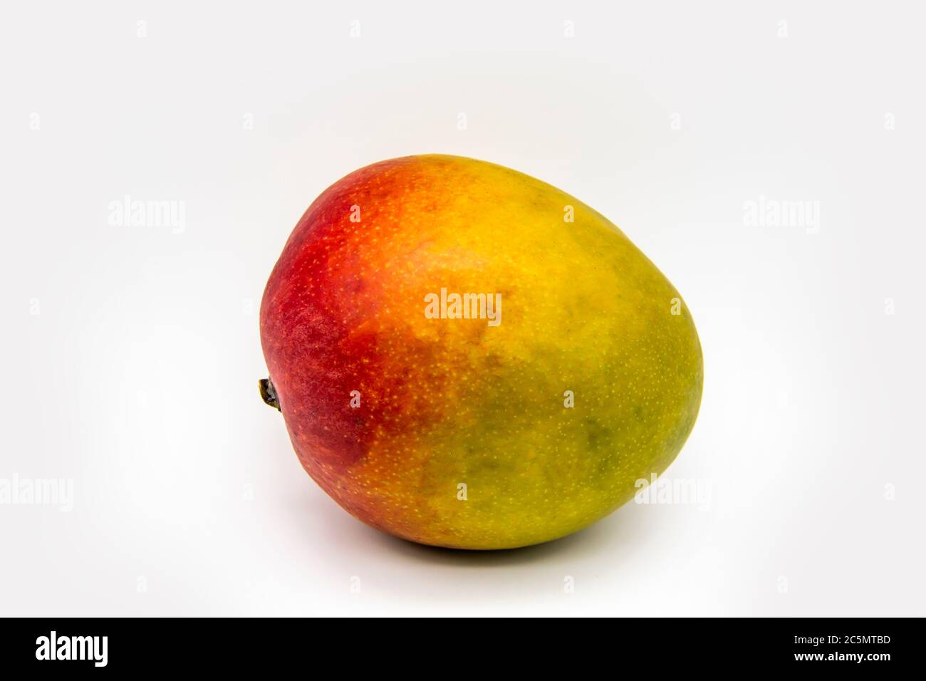 Mango fruit isolated on white background. One ripe mango fruit isolated ...