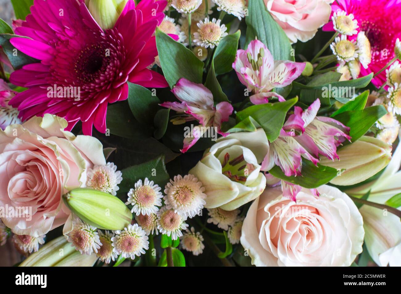 Close-ups of bouquet of colorful flowers Stock Photo - Alamy