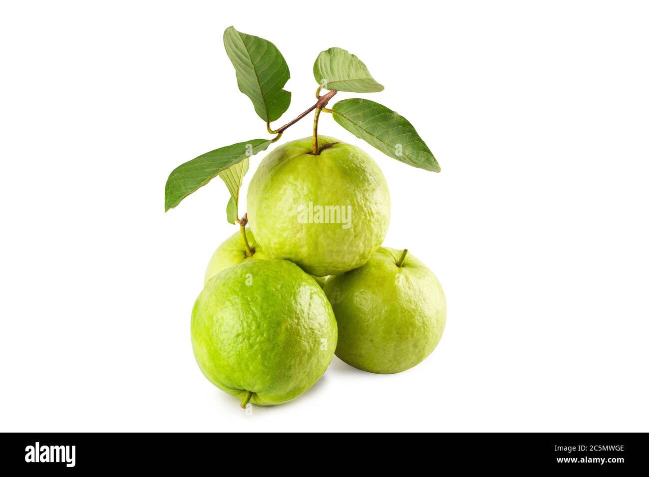 group of guava and guava leaf on white background fruit agriculture ...