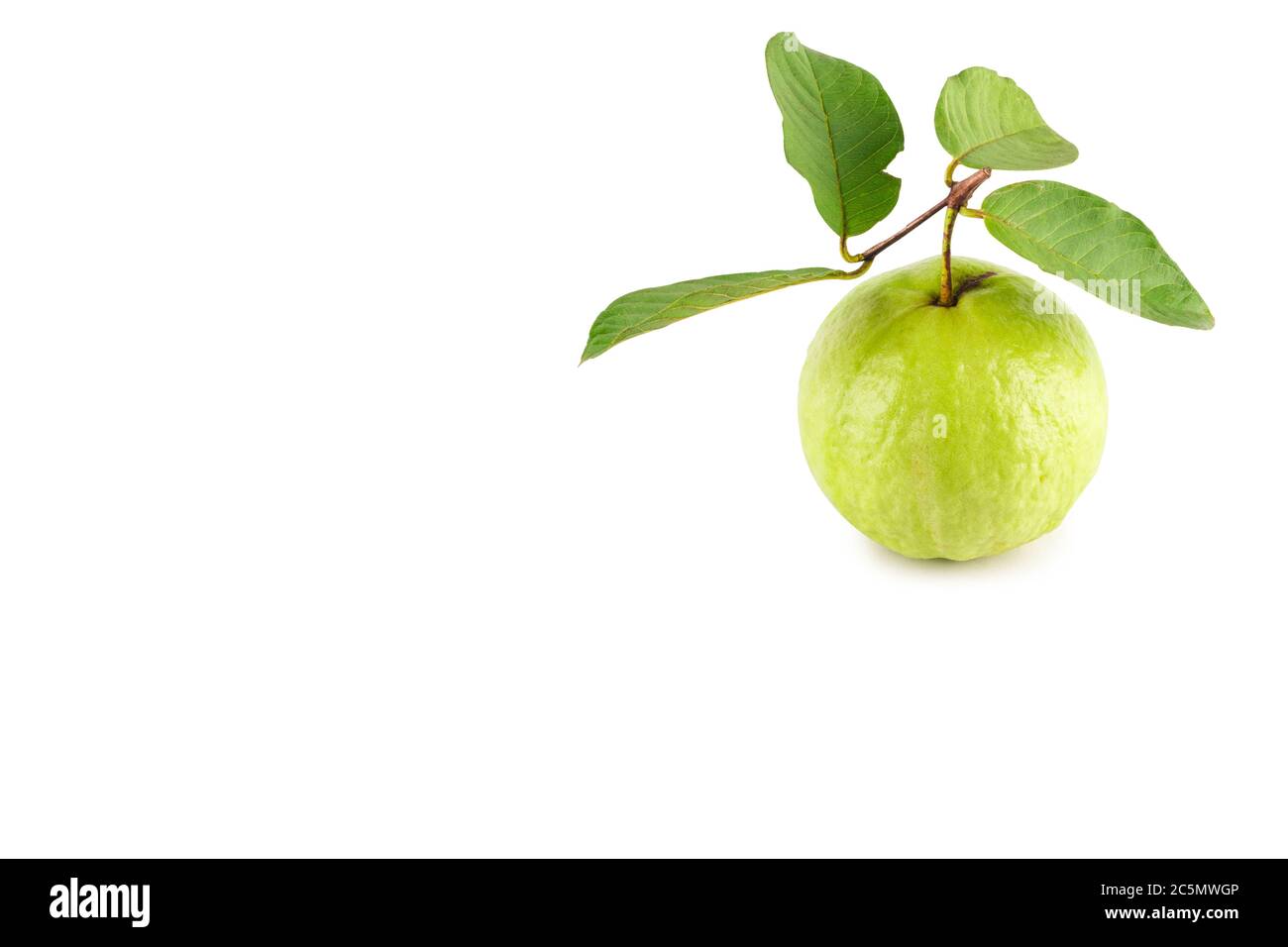 fresh guava and green guava leaf on white background fruit agriculture ...