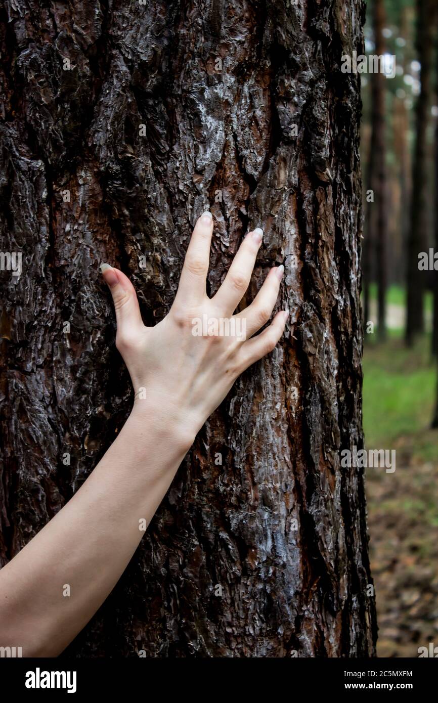 The hand move on the tree. Can be used in the scary design in horror ...