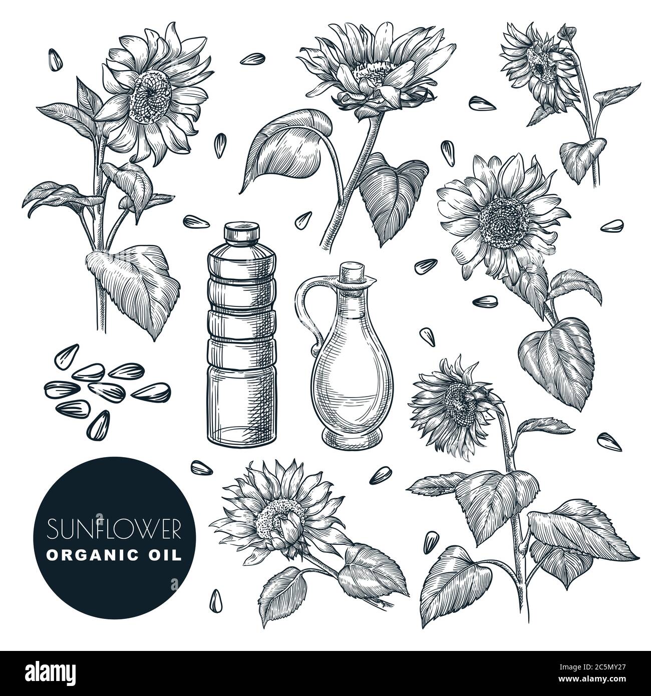 Vector drawing flowers grain Stock Vector Images - Alamy