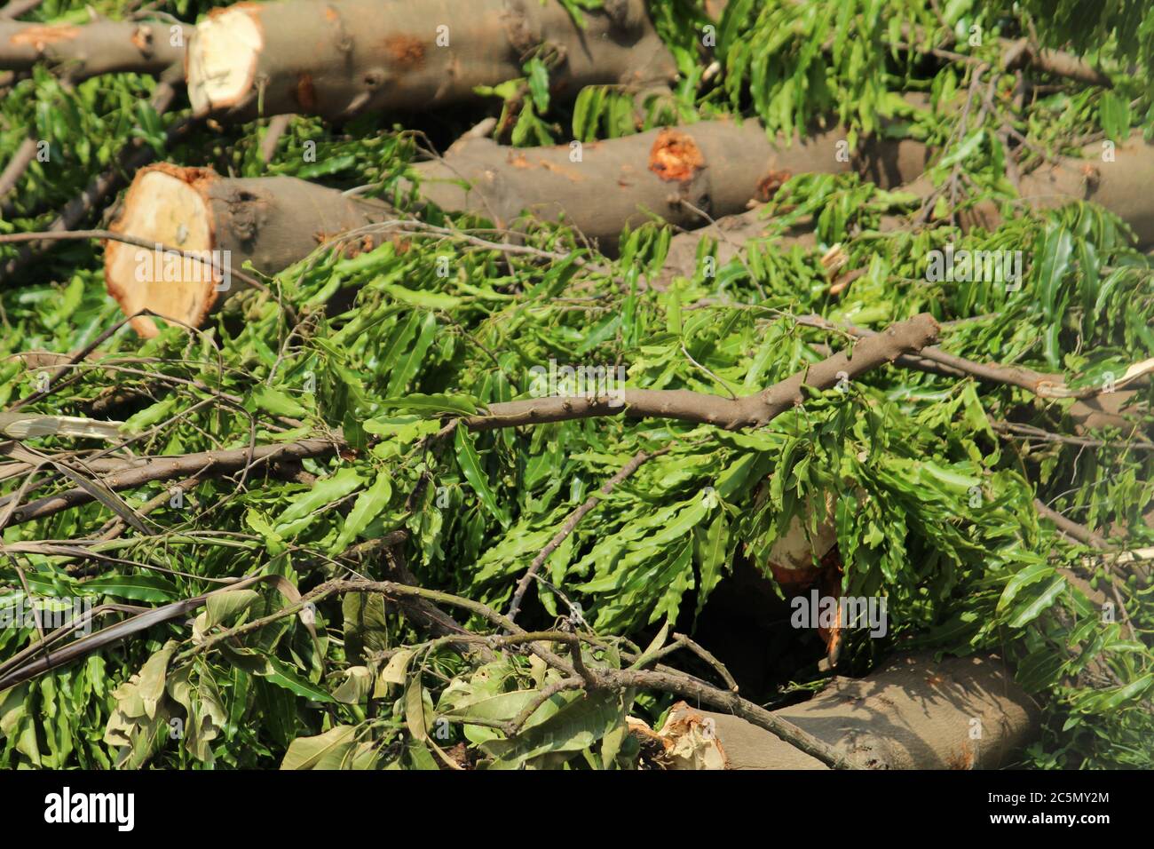 India tropical cyclone hi-res stock photography and images - Alamy