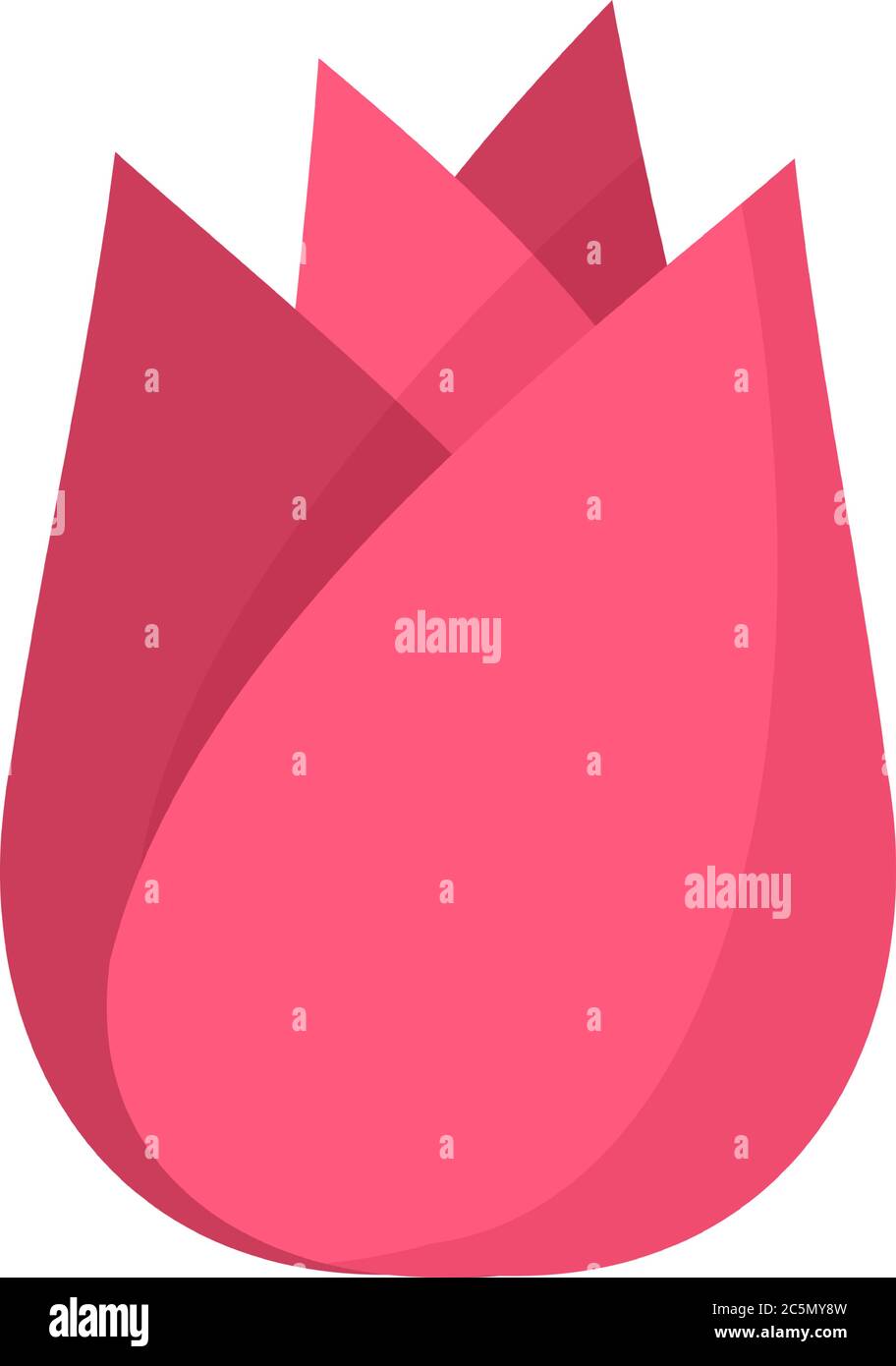 Pink tulip burgeon on a white background. Vector Stock Vector Image ...