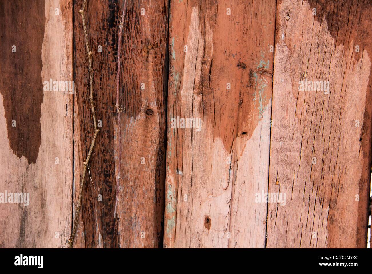A wet wood background. Texture of a wood. A Vintage and Natural ...