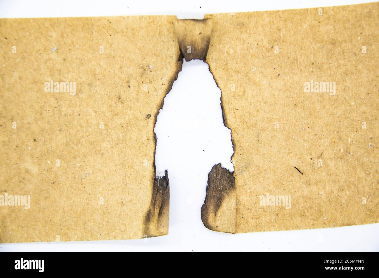 Burnt Pieces of Vintage Paper can be used in design. Old paper with ...