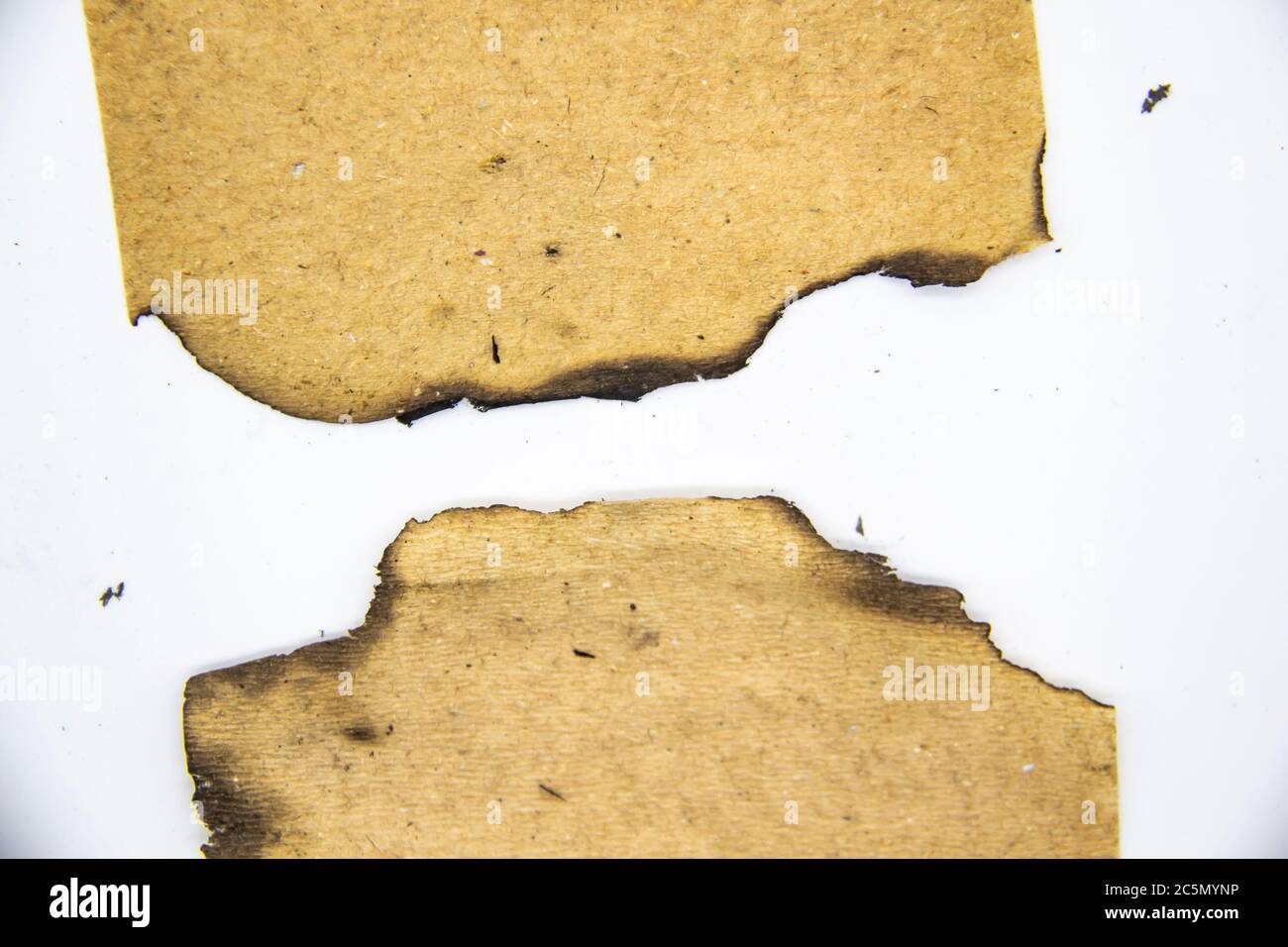 Burnt Pieces of Vintage Paper can be used in design. Old paper with ...