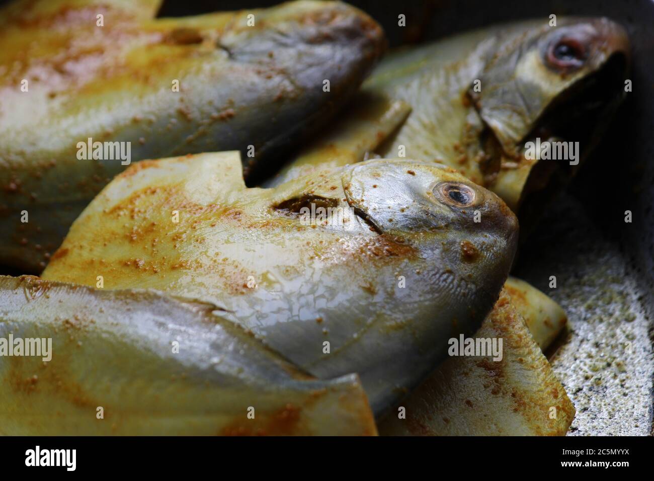 Silver pomfret fish hi-res stock photography and images - Alamy