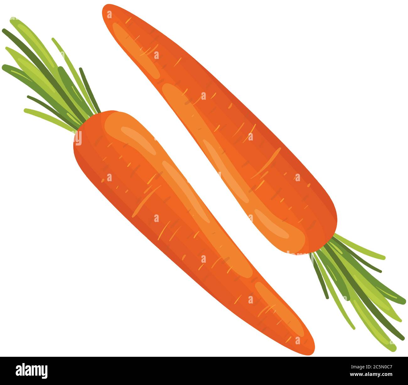 Bright vector carrot. Fresh cartoon vegetable isolated on white ...