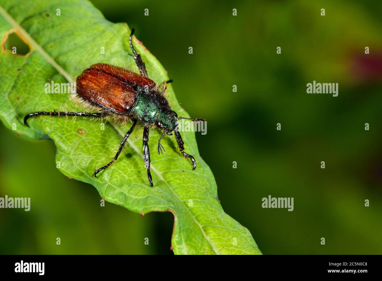 "Small things form a whole Stock Photo - Alamy