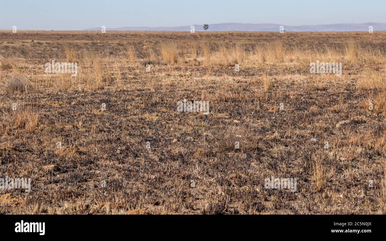 Seasonal winter veld fires on the Highveld in Gauteng province in South ...