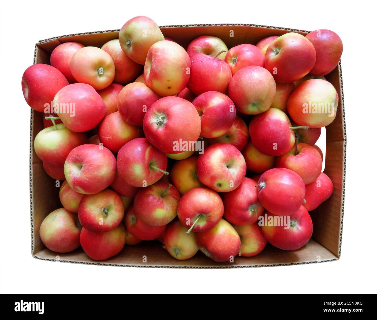Fresh apples in the cardboard box isolated on white. Clipping Path ...