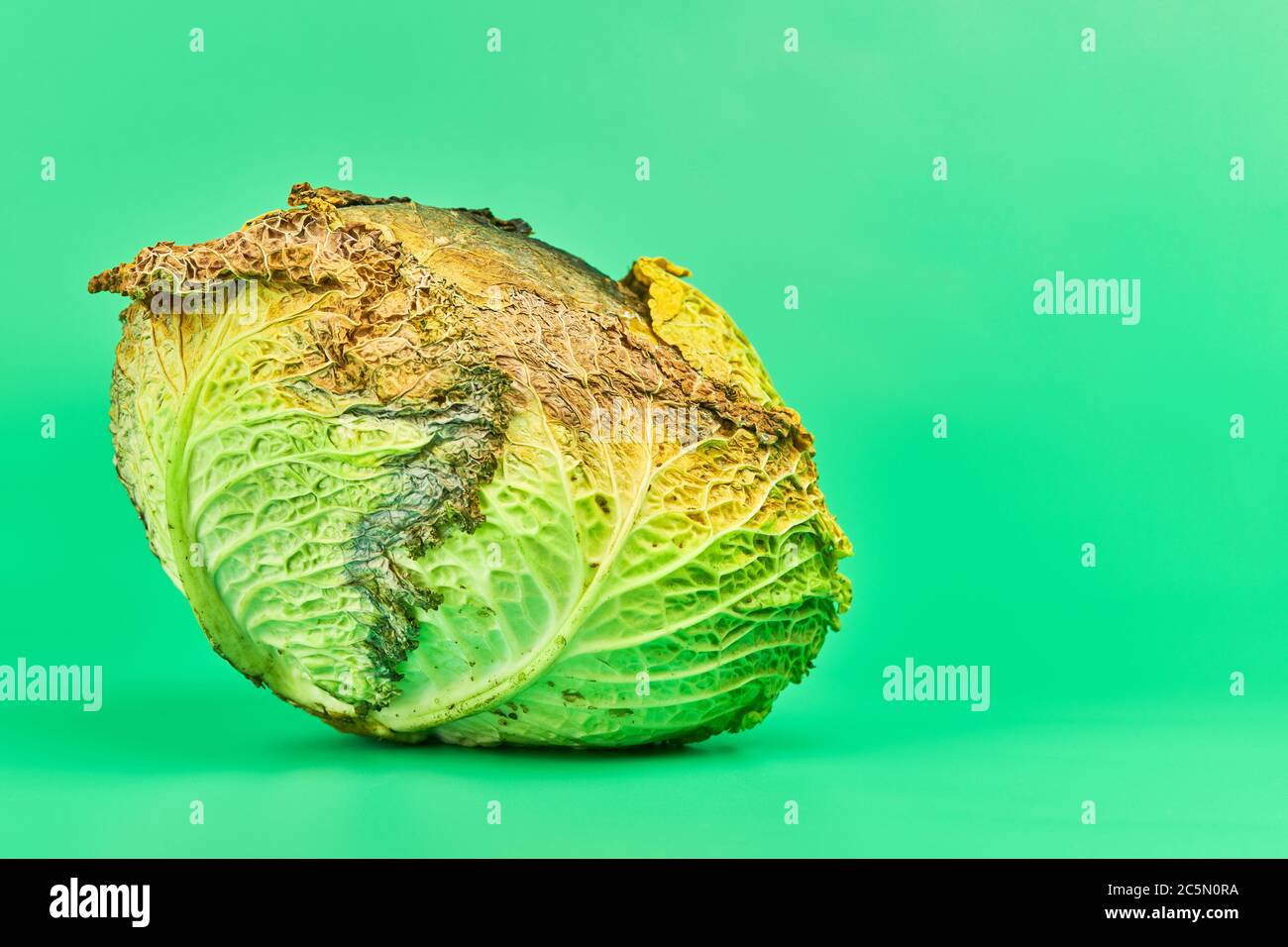 Rotten cabbage hi-res stock photography and images - Alamy