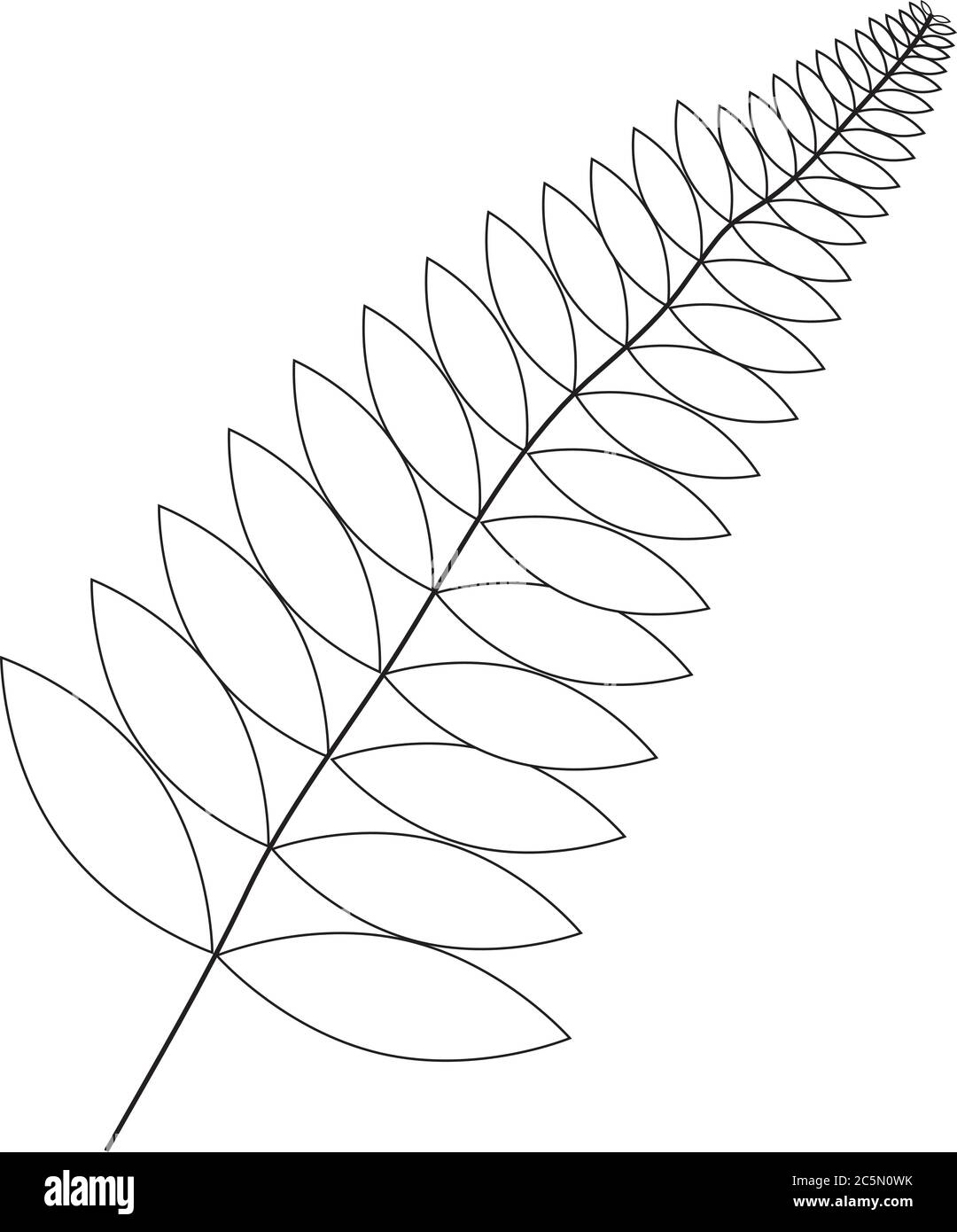 Black and white fern Stock Vector Image & Art - Alamy