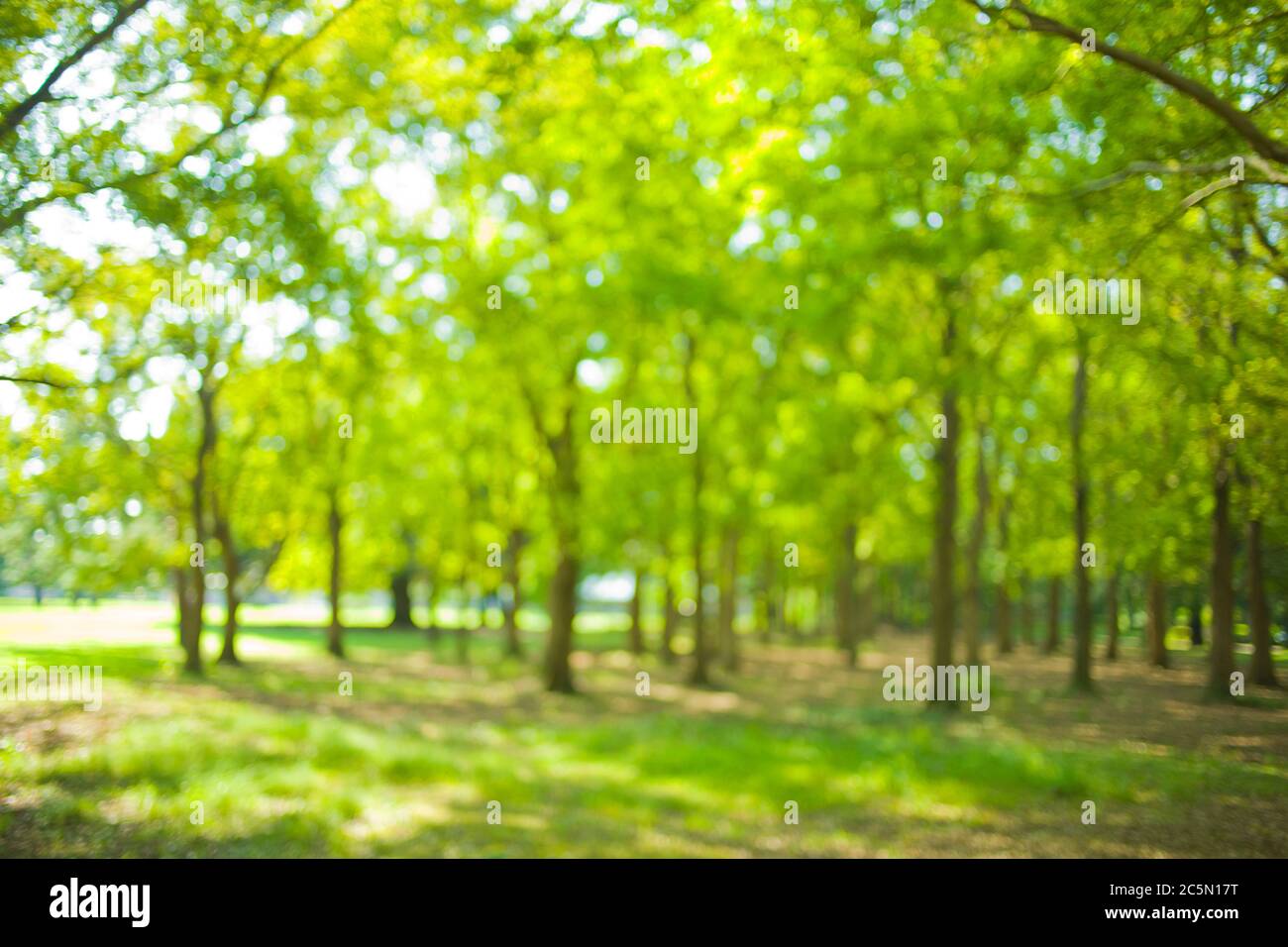 Background blur wide path hi-res stock photography and images - Alamy