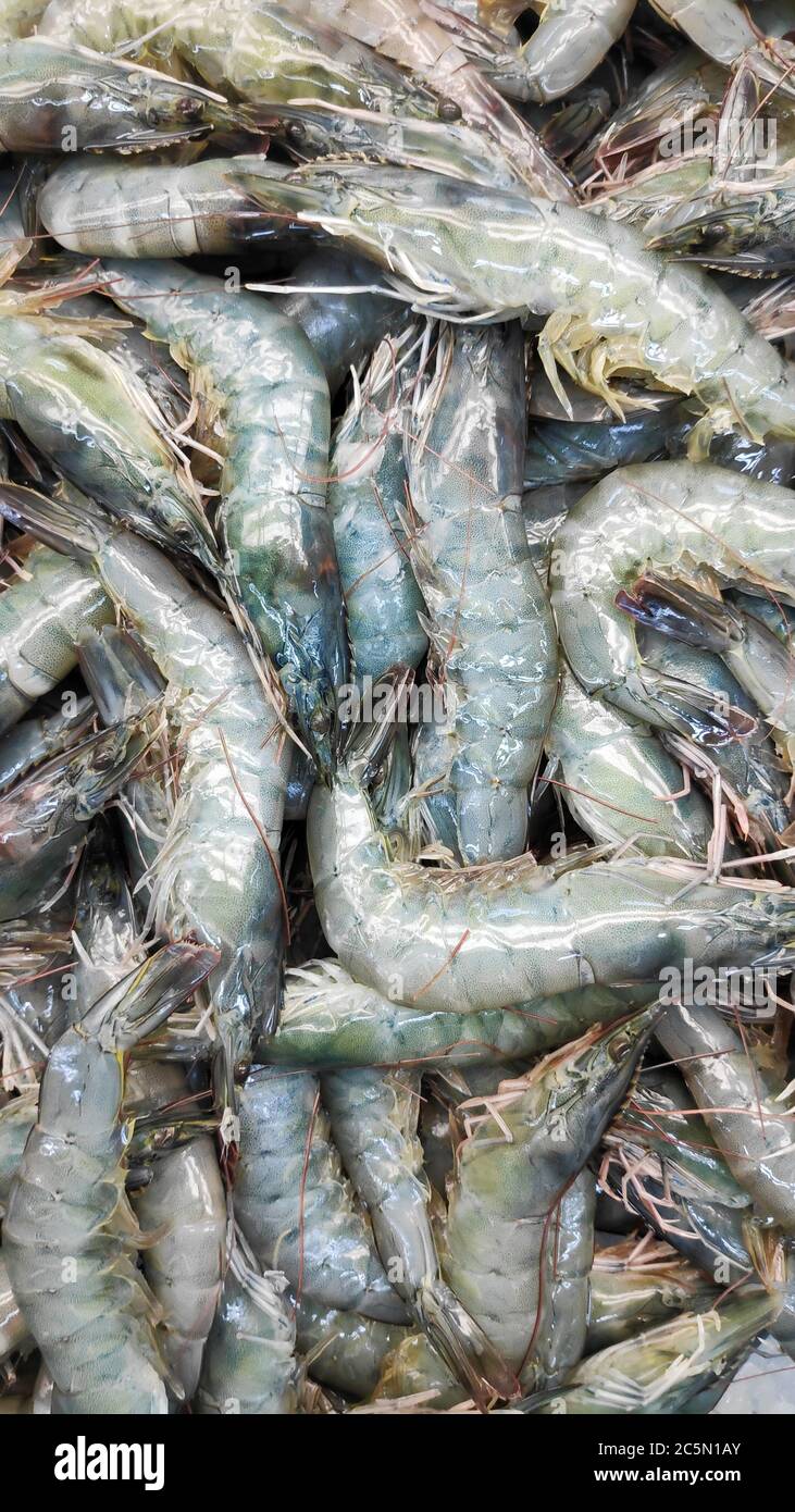 Fresh grey shrimps ready to sale in market Stock Photo - Alamy